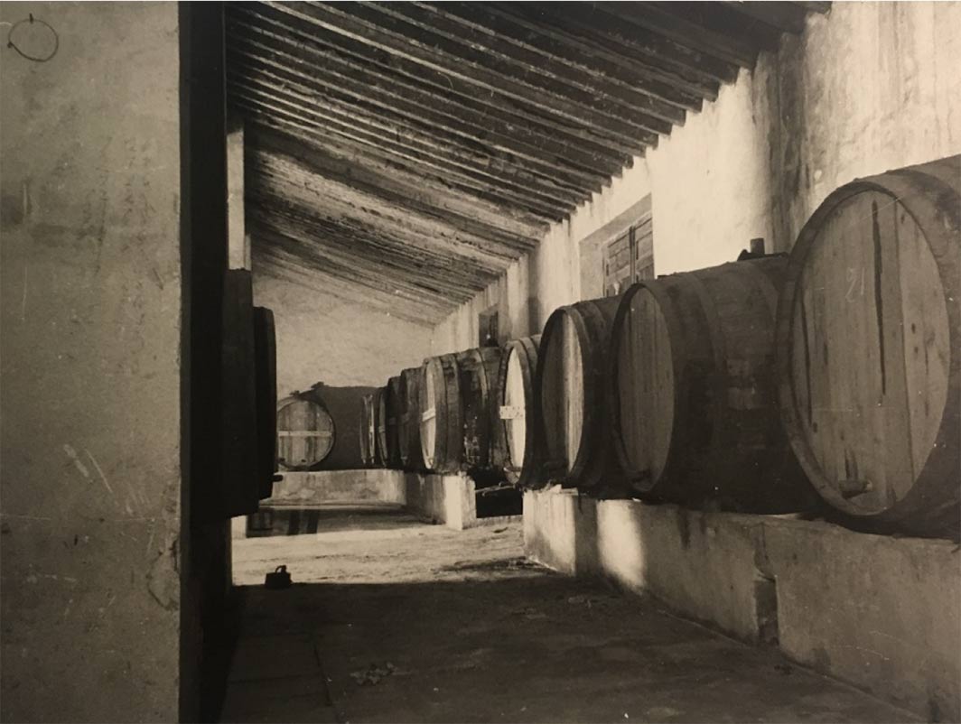 History - Bodegas Luzón