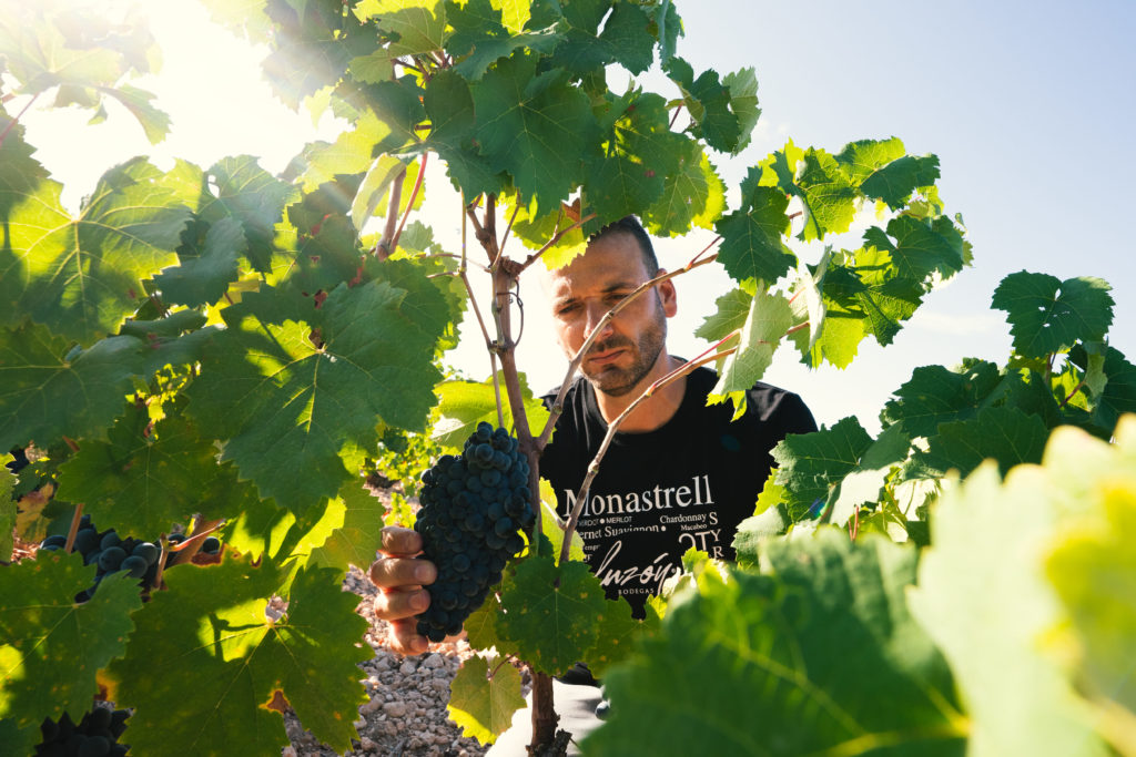 News - Bodegas Luzón